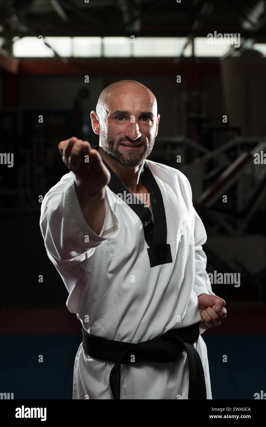 Mature Man Practicing His Karate Moves Stock Photo - Alamy
