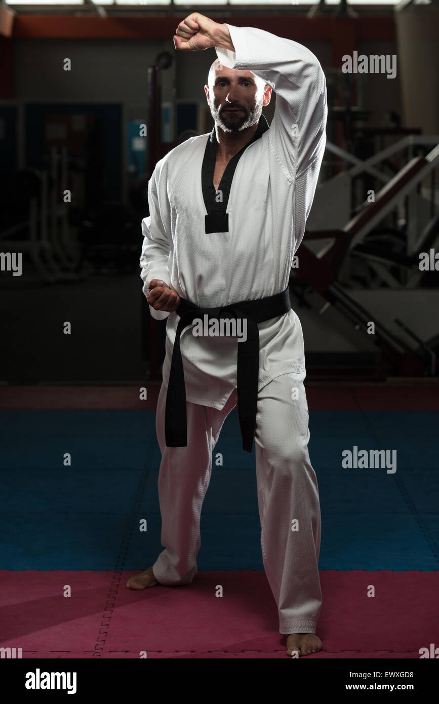 Mature Man Practicing His Karate Moves Stock Photo - Alamy