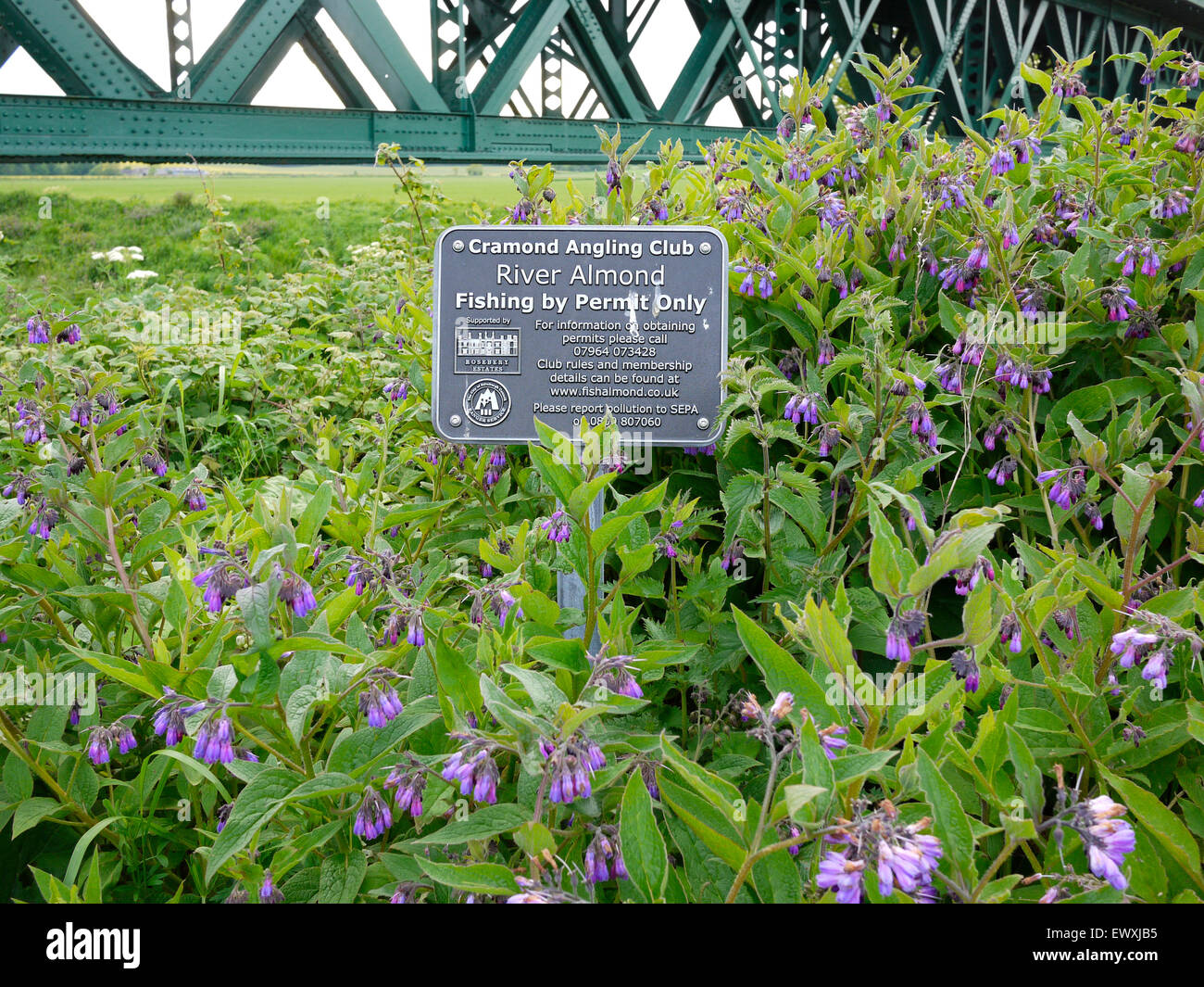 River Almond fishing information sign at Almond rail bridge Edinburgh ...