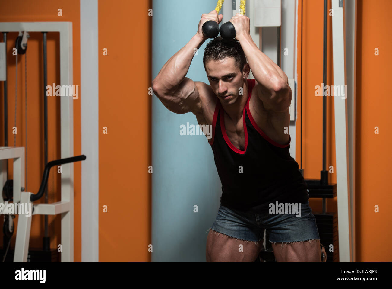 Young Bodybuilder Exercise In The Gym - He Is Performing Two Arm ...