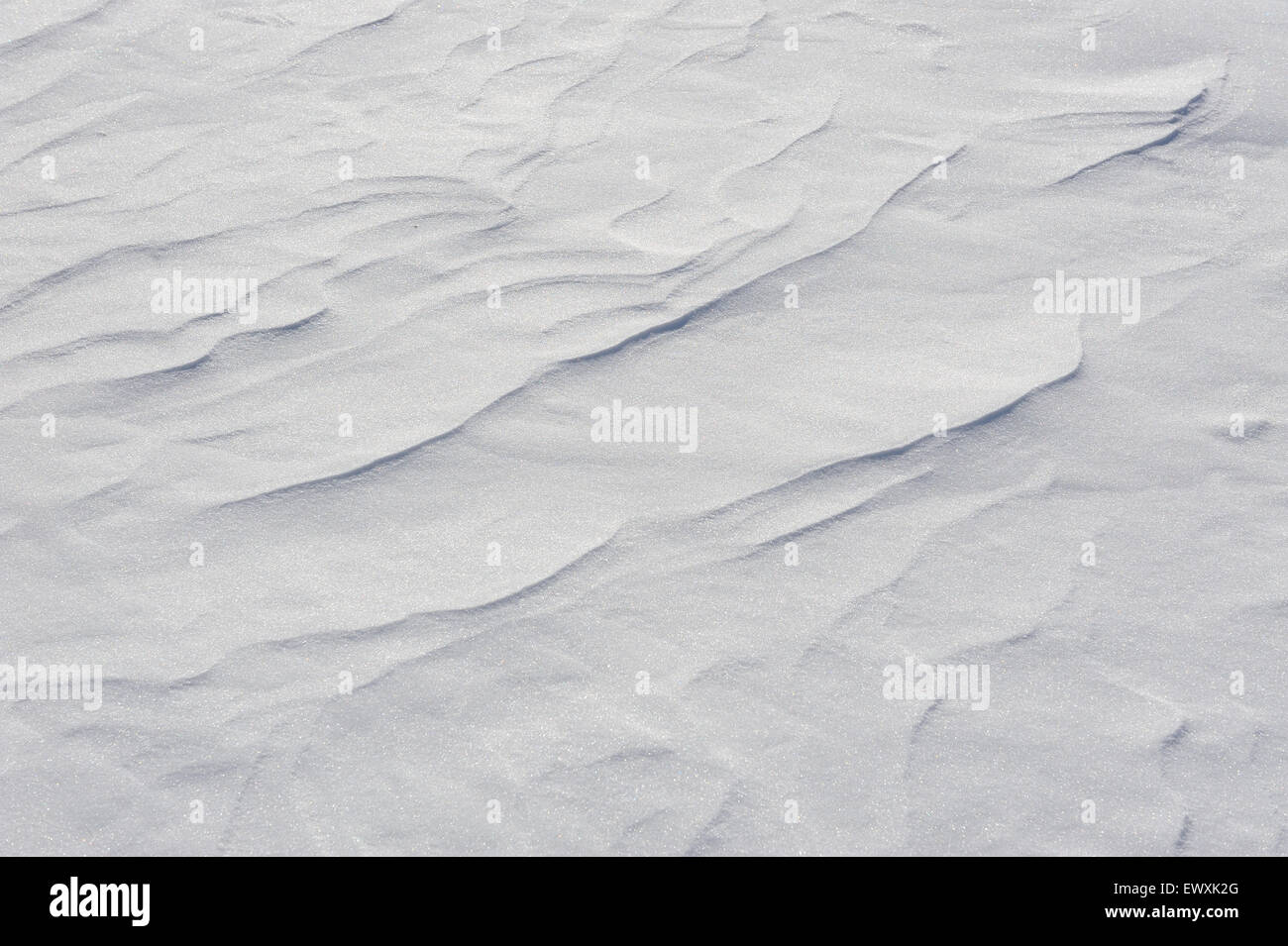 Thin snow layer hi-res stock photography and images - Alamy