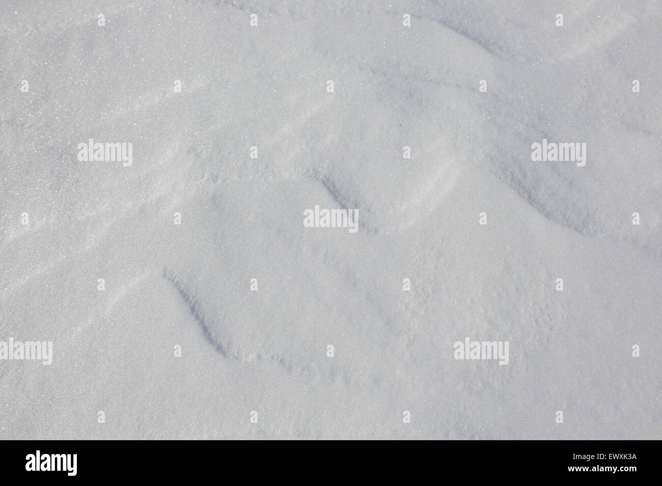 Thin crust of ice over snow Stock Photo - Alamy