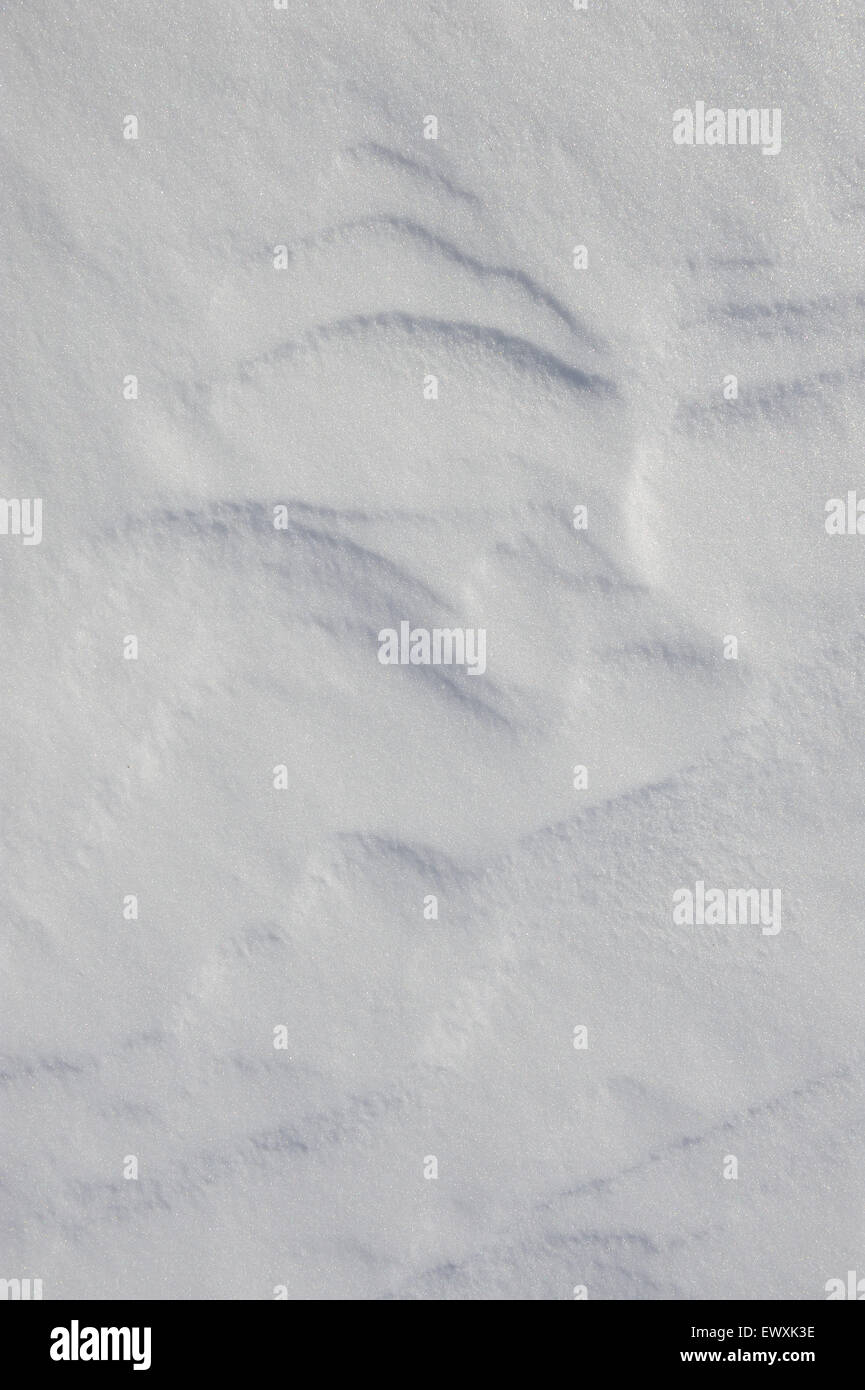 Thin crust of ice over snow Stock Photo - Alamy