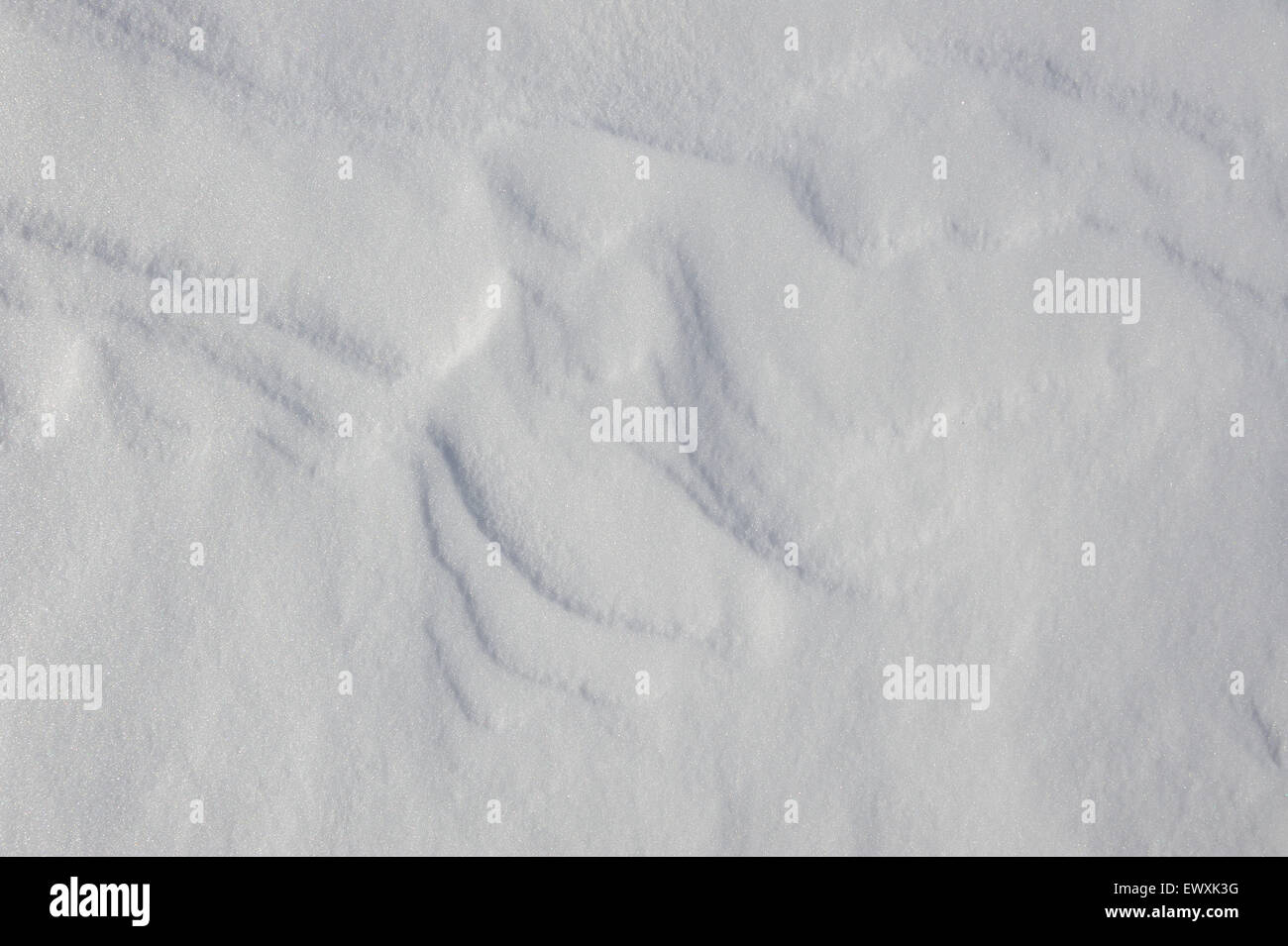 Crusty snow hi-res stock photography and images - Alamy
