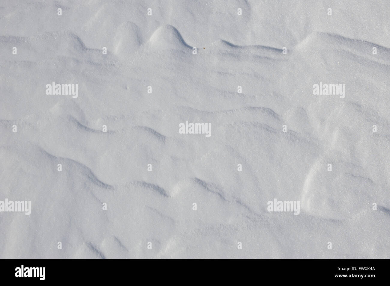 Thin crust of ice over snow Stock Photo - Alamy