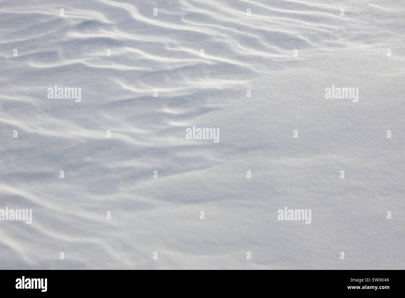 Thin crust of ice over snow Stock Photo - Alamy