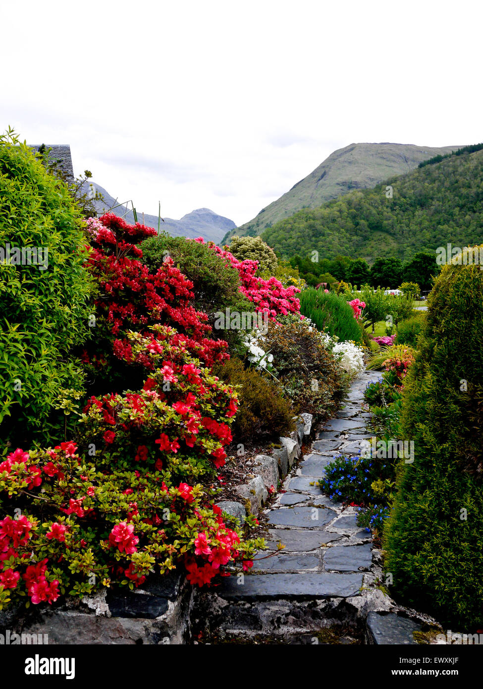 Garden in Invercoe with mountains in the background,Invercoe, Glencoe ...