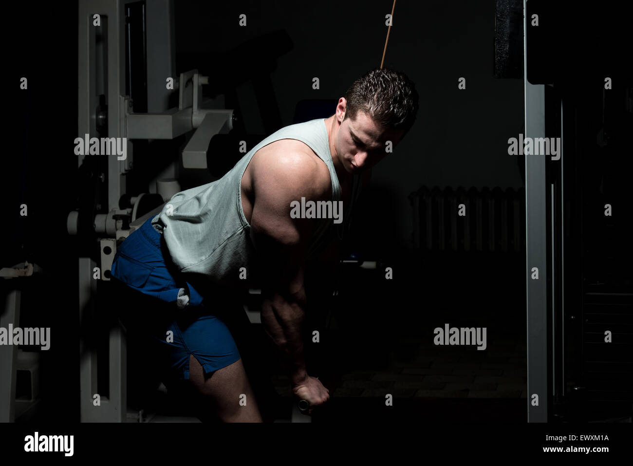 Young Bodybuilder Exercise In The Gym - He Is Performing Two Arm ...