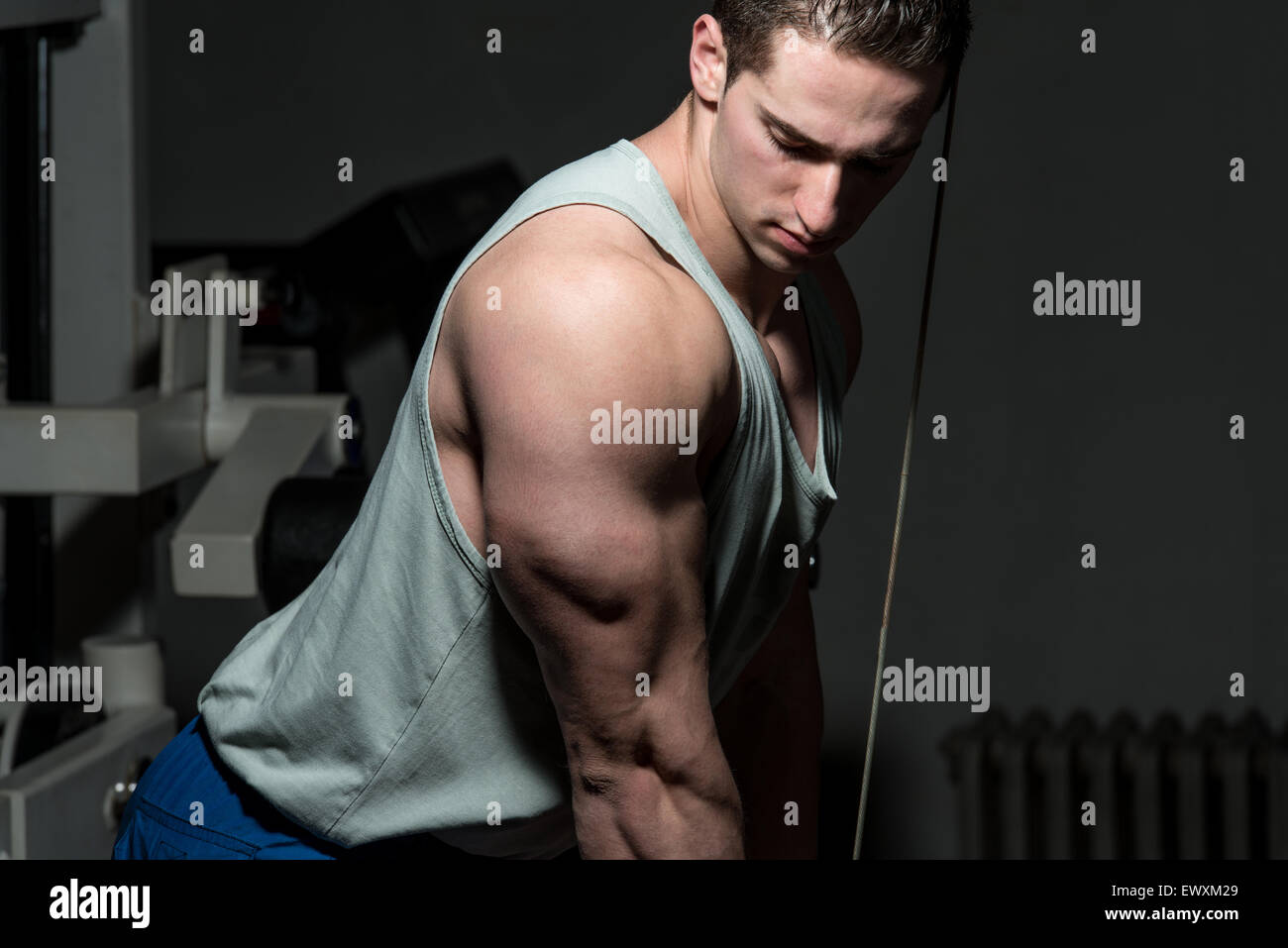 Young Bodybuilder Exercise In The Gym - He Is Performing Two Arm ...