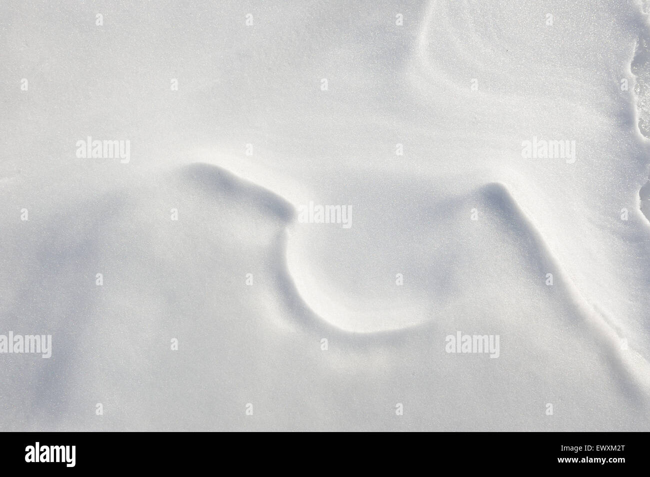Thin crust of ice over snow Stock Photo - Alamy