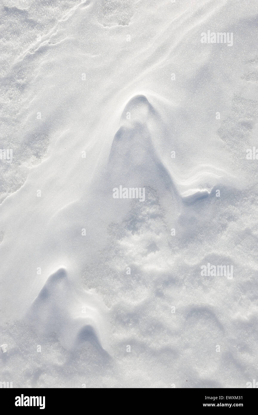 Thin crust of ice over snow Stock Photo - Alamy