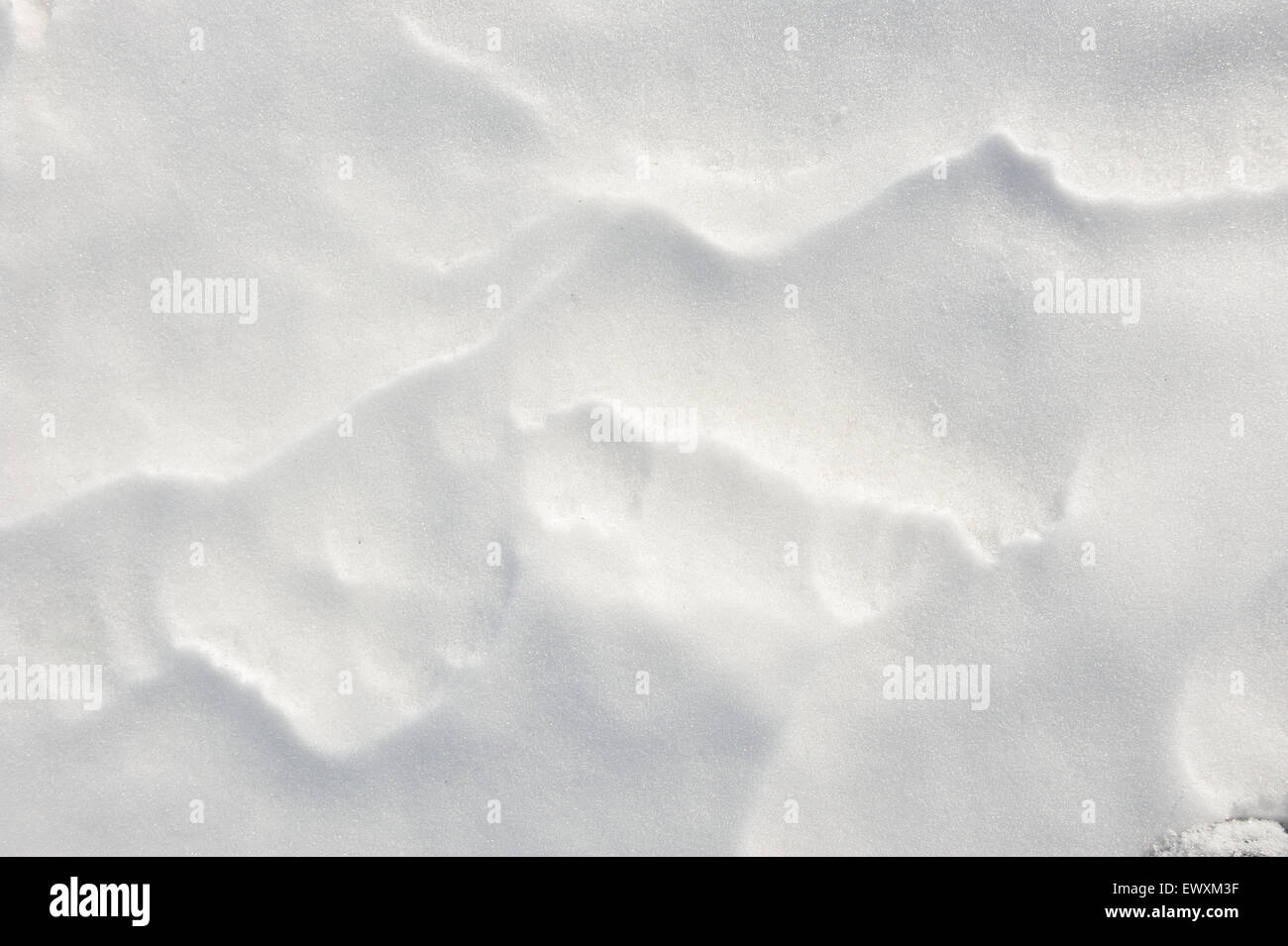 Thin crust of ice over snow Stock Photo - Alamy