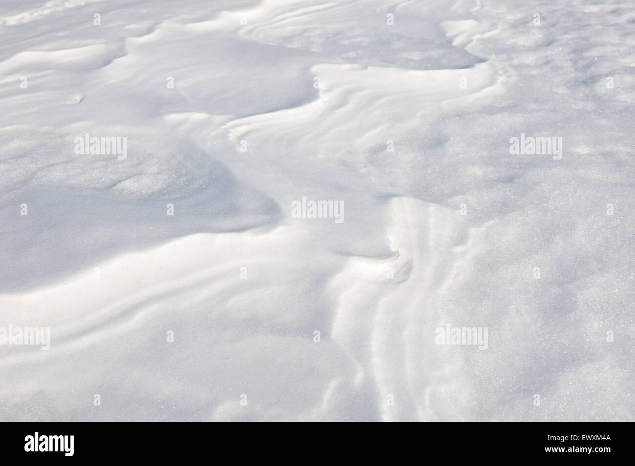 Thin crust of ice over snow Stock Photo - Alamy