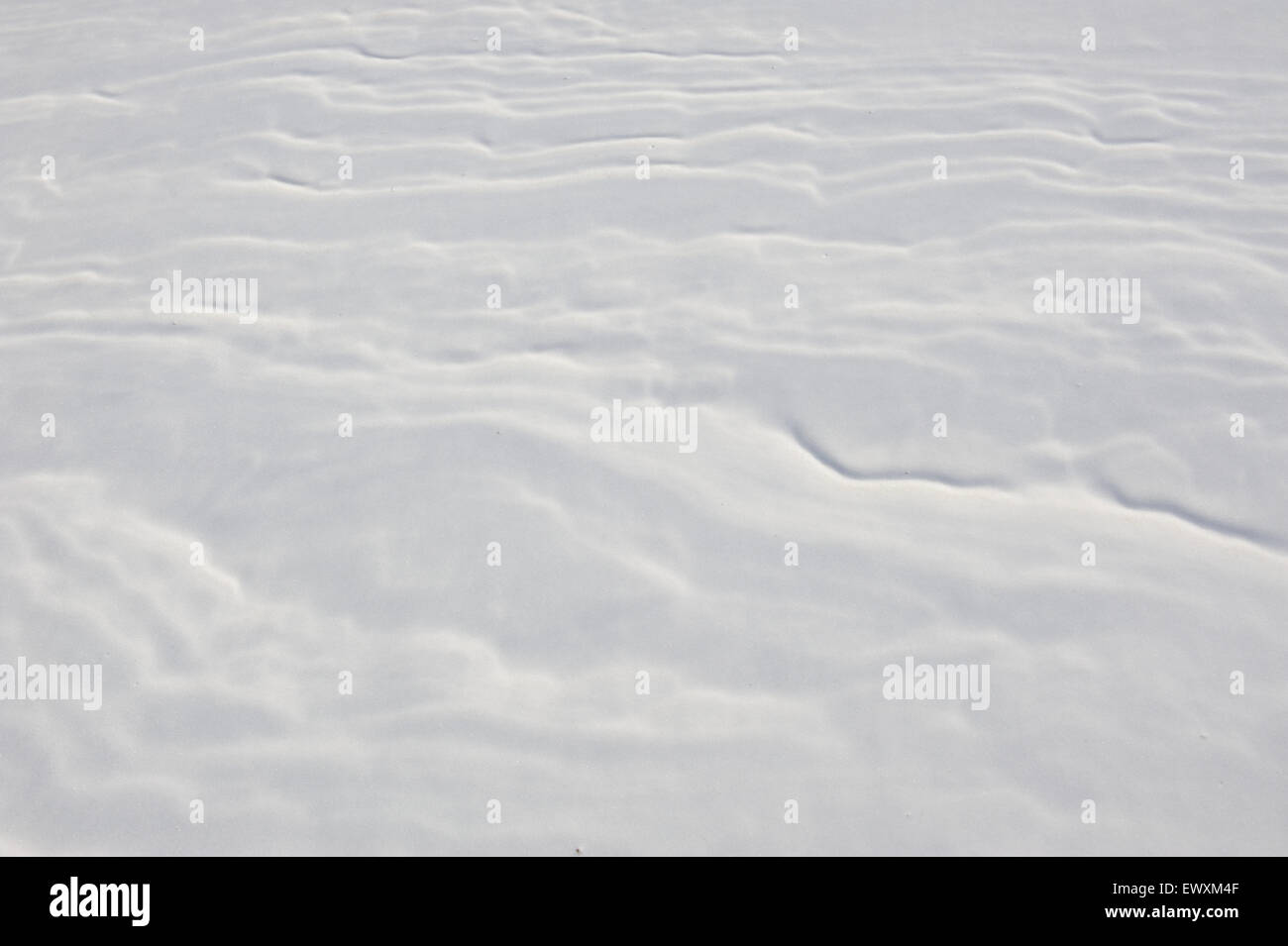 Shiny crust hi-res stock photography and images - Alamy