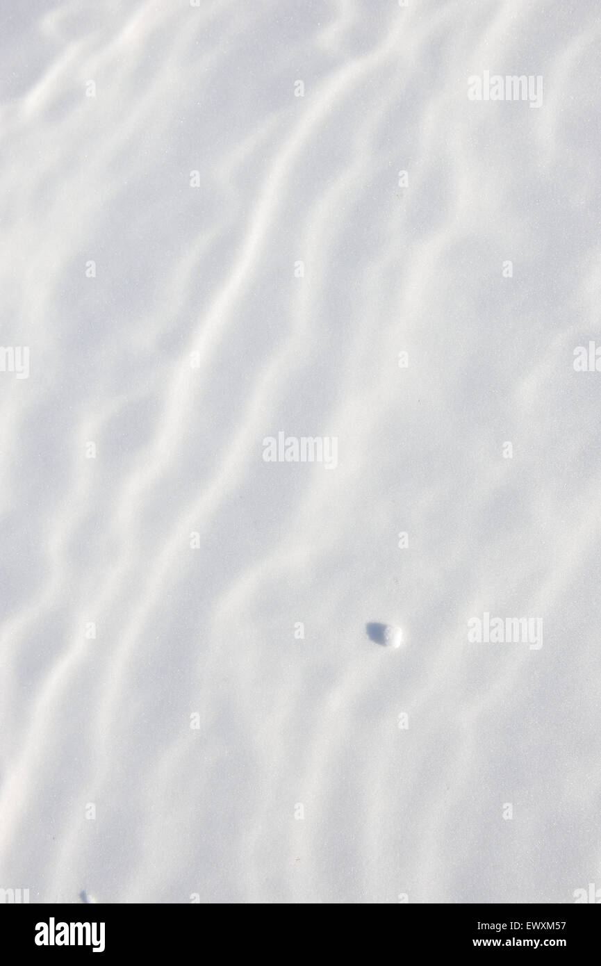 Thin crust of ice over snow Stock Photo - Alamy
