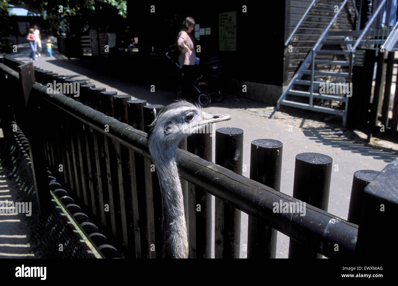 Emu fence hi-res stock photography and images - Alamy