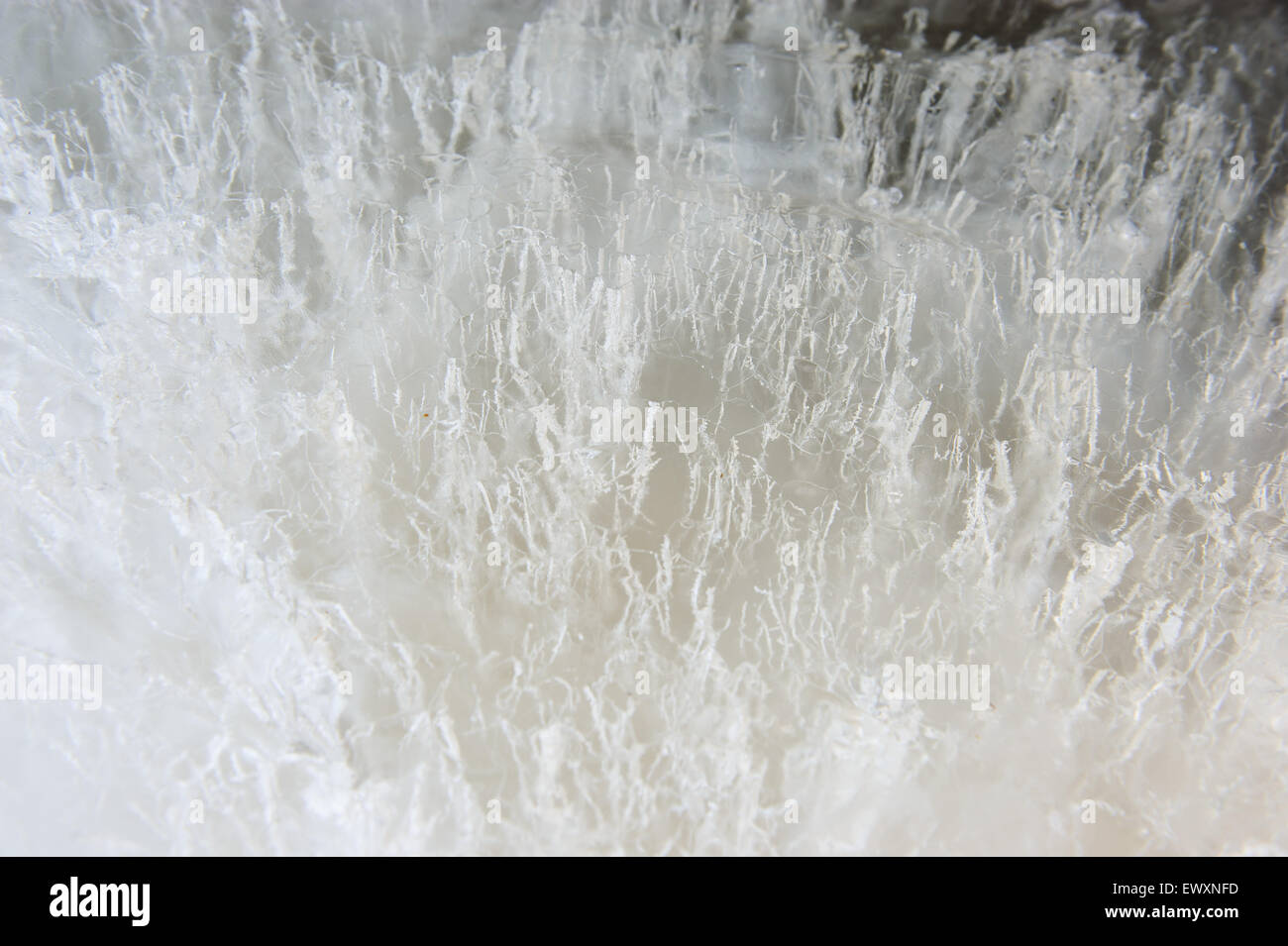 Close up background of ice Stock Photo - Alamy