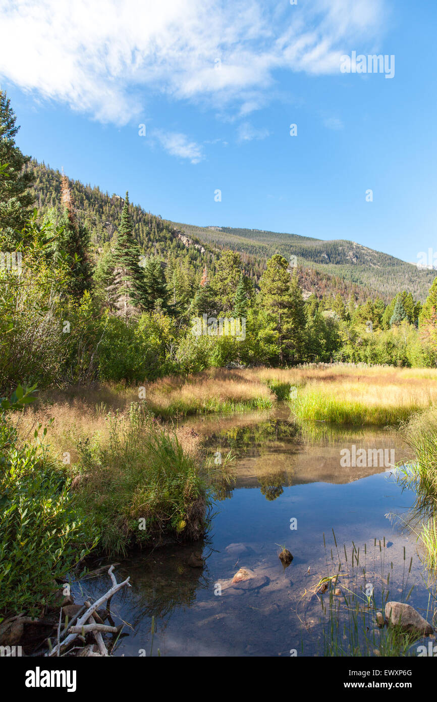 Pool on Fern Lake Trail, Rocky Mountain National Park, Colorado, USA ...