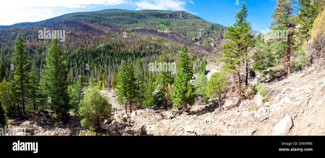 Post-fire triggered debris flow in the foreground and fire scars ...
