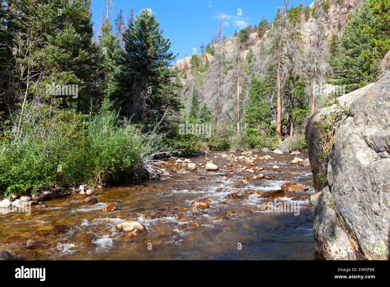 Big Thompson River in Rocky Mountian National Park Colorado USA Stock ...