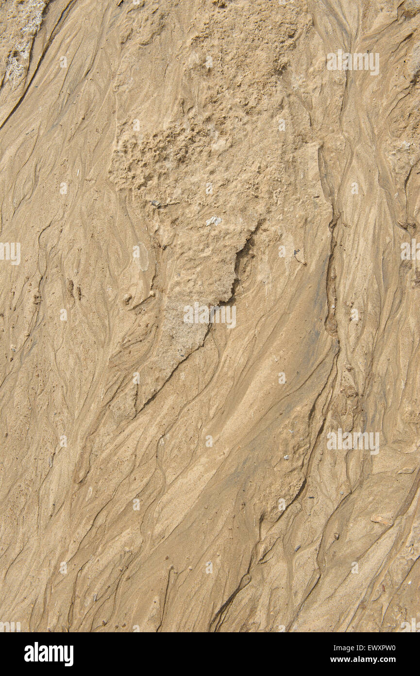sand beach of the river. close up background Stock Photo - Alamy