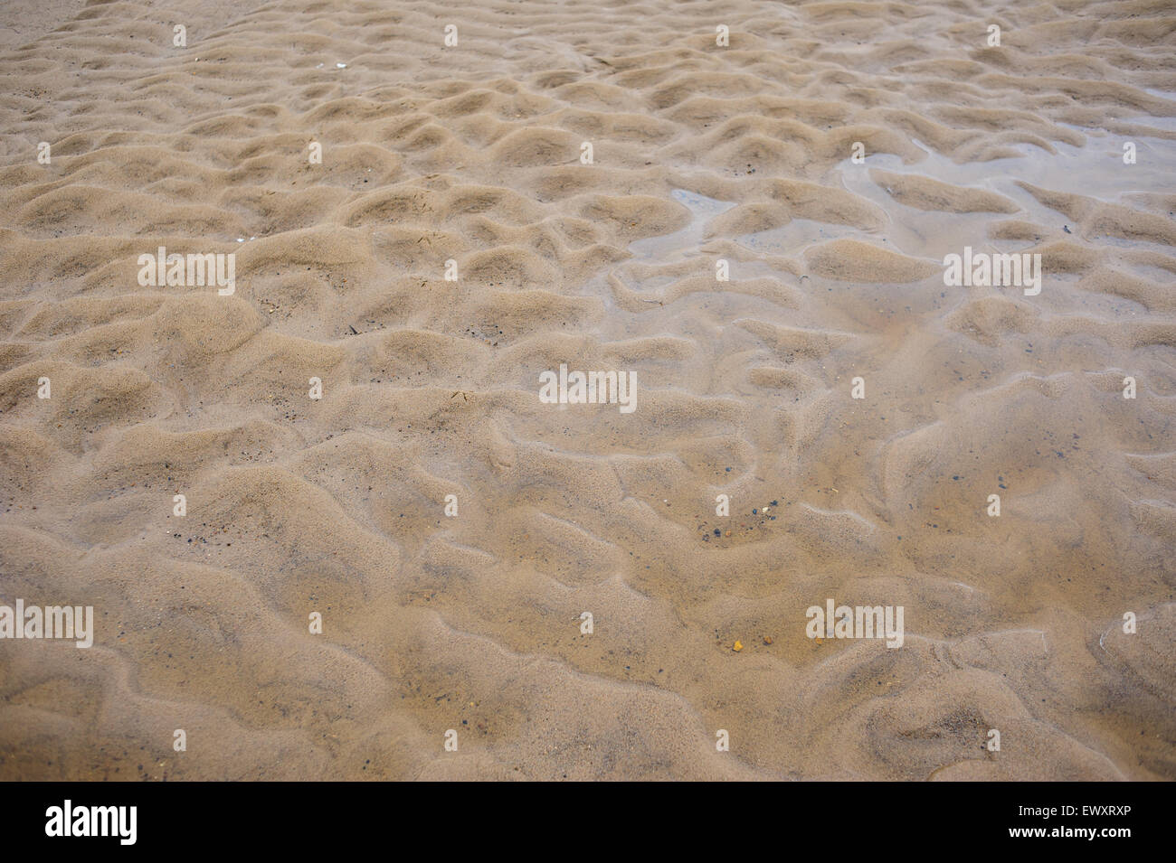 sand beach of the river. close up background Stock Photo - Alamy