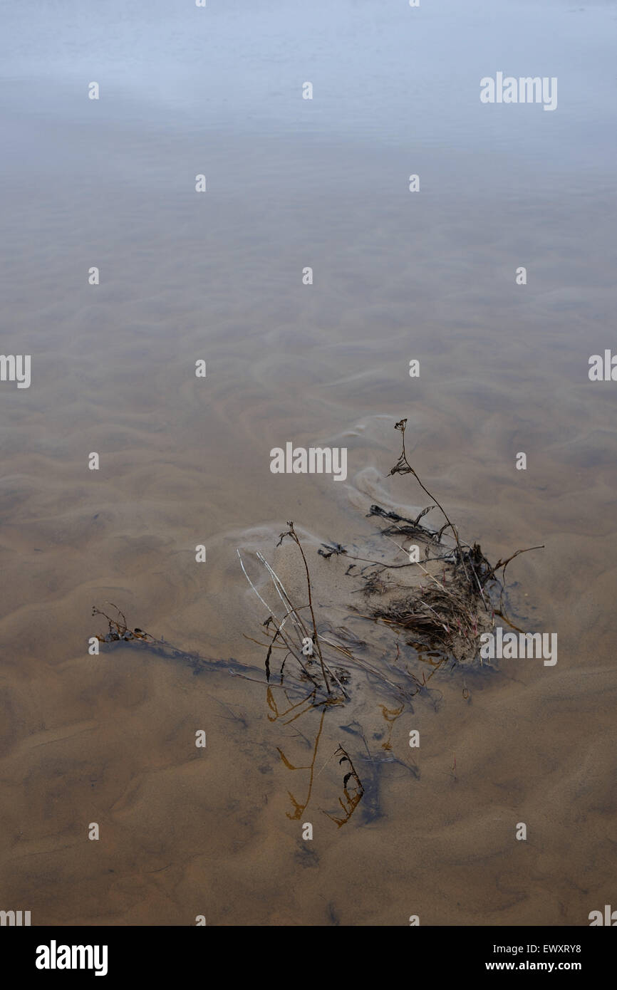 sand beach of the river. close up background Stock Photo - Alamy