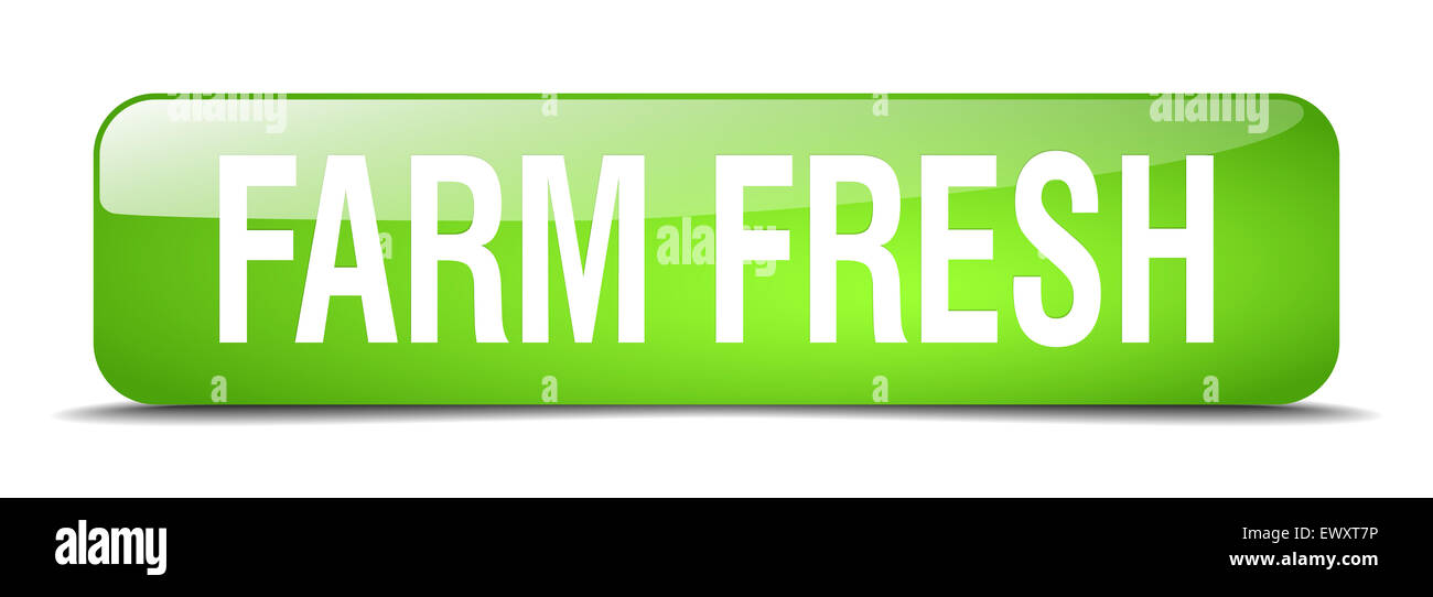 farm fresh green square 3d realistic isolated web button Stock Photo ...