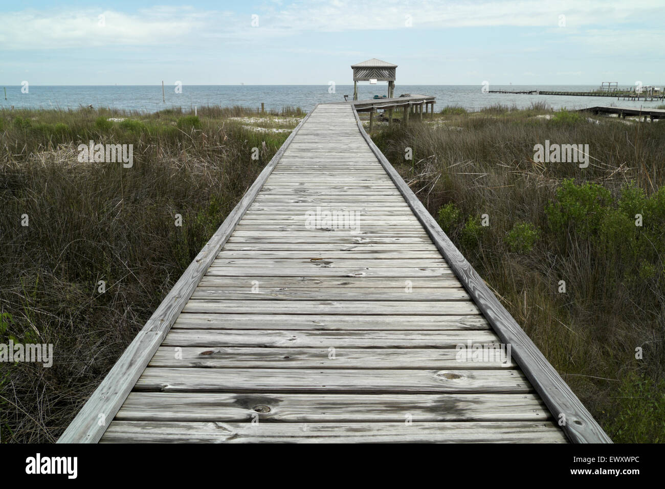 Habitat mobile hi-res stock photography and images - Alamy