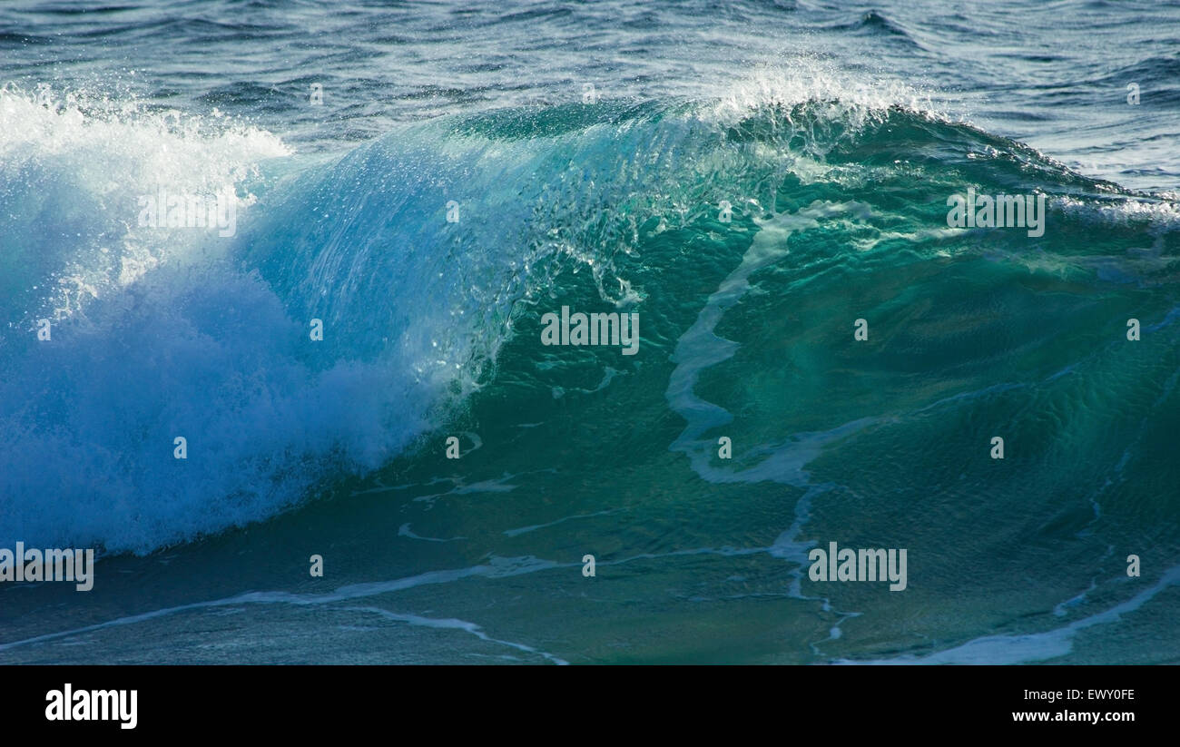 powerful ocean breaking waves with backlight, making the water ...
