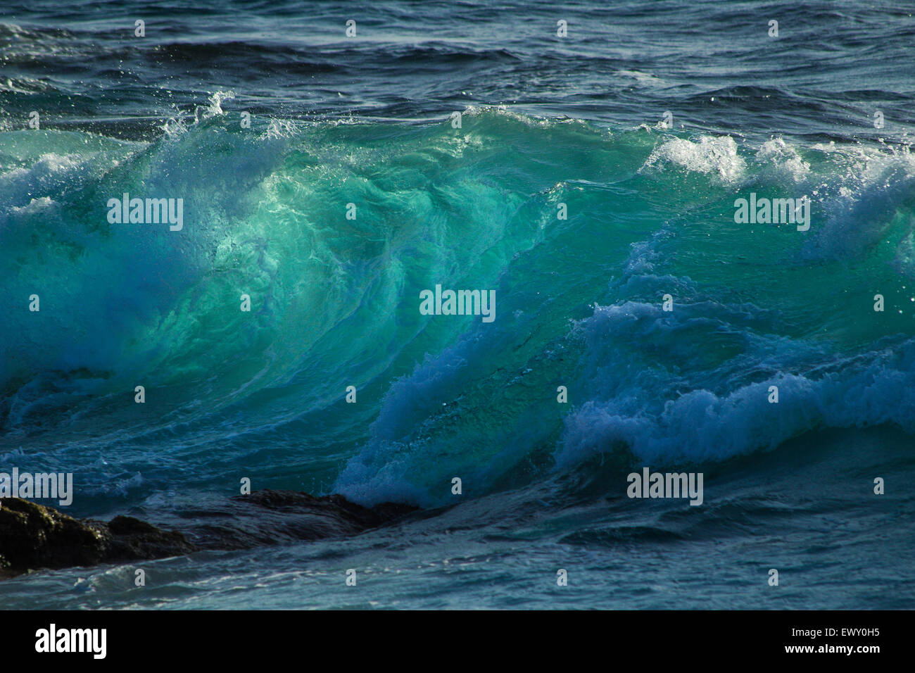 powerful ocean breaking waves with backlight, making the water ...