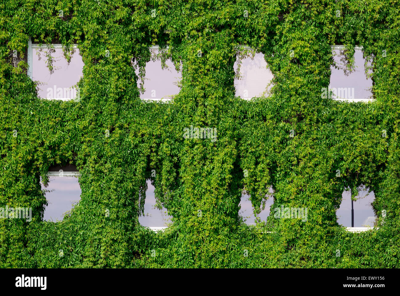 Covered in vegetation hi-res stock photography and images - Alamy