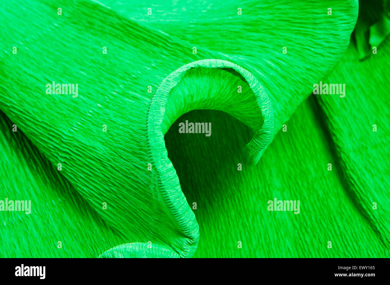 closeup of green creped crepe paper Stock Photo - Alamy