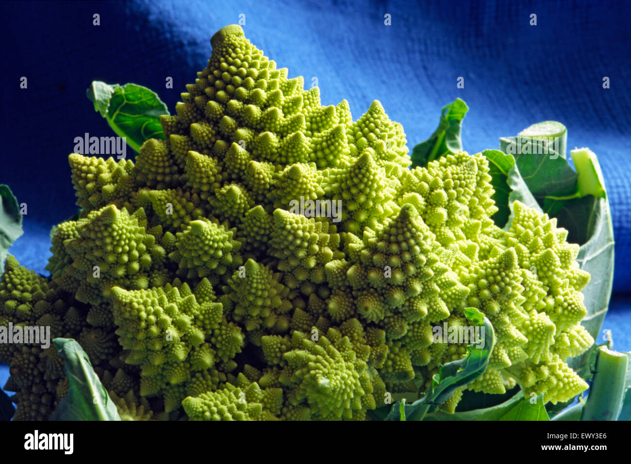 Still life romanesco cauliflower hi-res stock photography and images ...