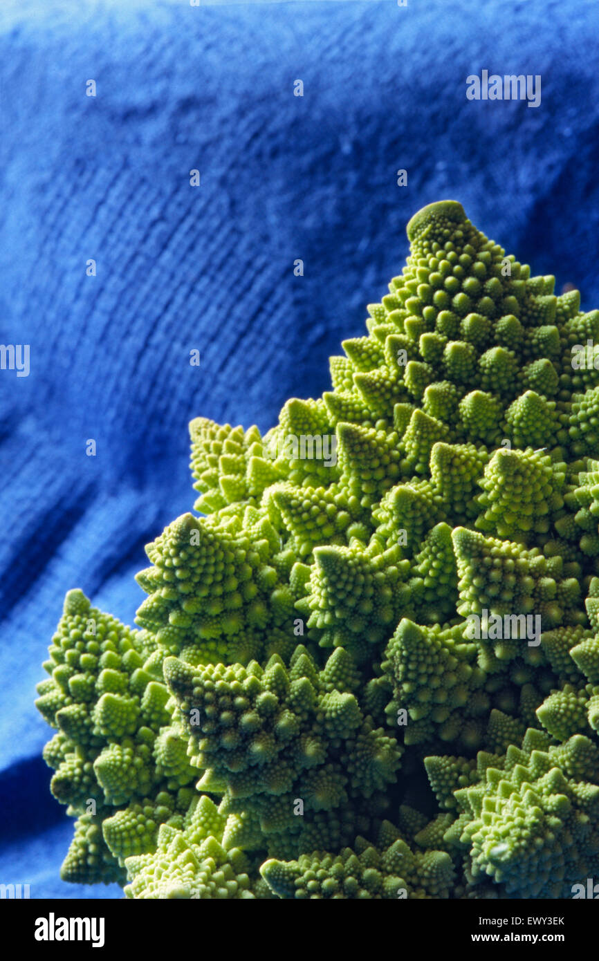 Still life romanesco cauliflower hi-res stock photography and images ...