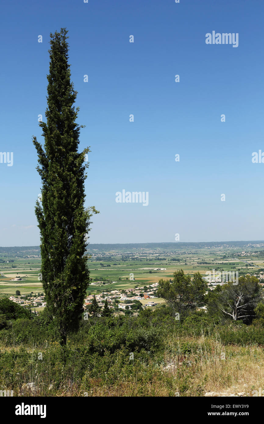 A cypress tree grows on the Roc de Gachone near Calvisson, France. The ...