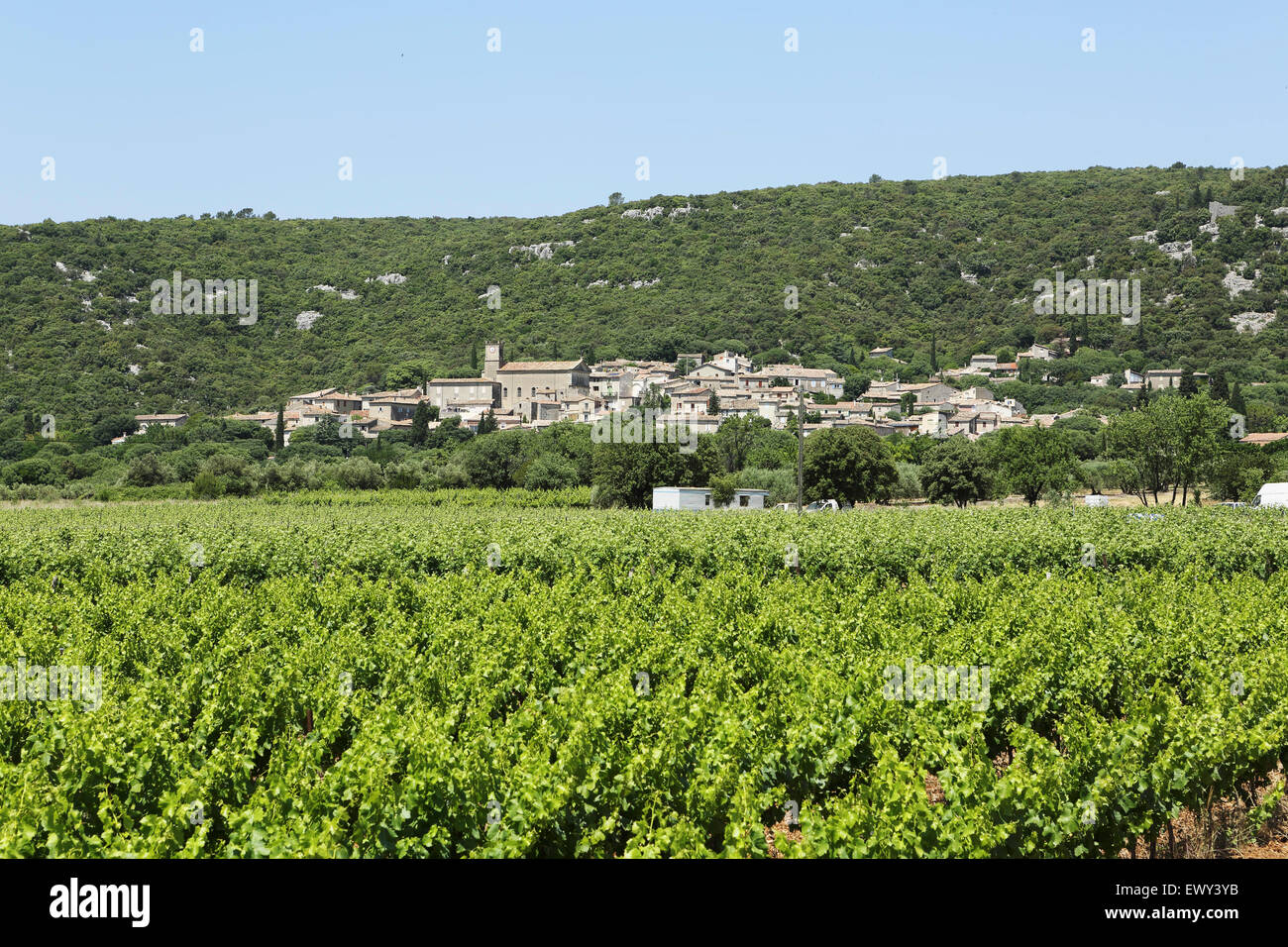 Garrigue scrubland hi-res stock photography and images - Alamy