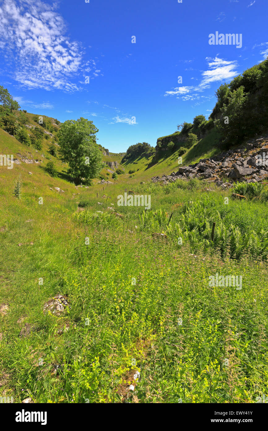 Lathkill Dale dry valley, Peak District National Park, Derbyshire ...