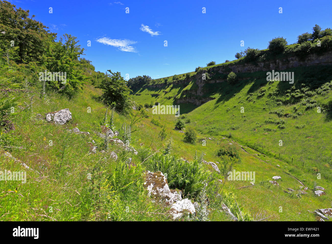 Lathkill Dale dry valley, Peak District National Park, Derbyshire ...