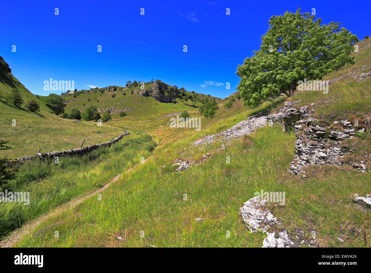 Lathkill dale derbyshire peak district hi-res stock photography and ...