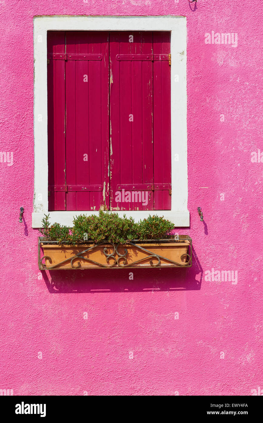 Purple wall and shutters and window box Burano Venetian Lagoon Veneto ...