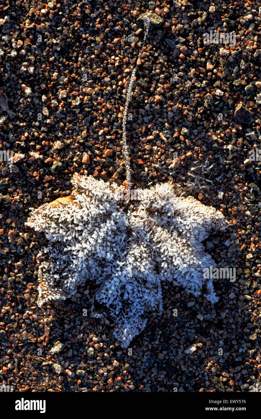 Individual crystals hi-res stock photography and images - Alamy