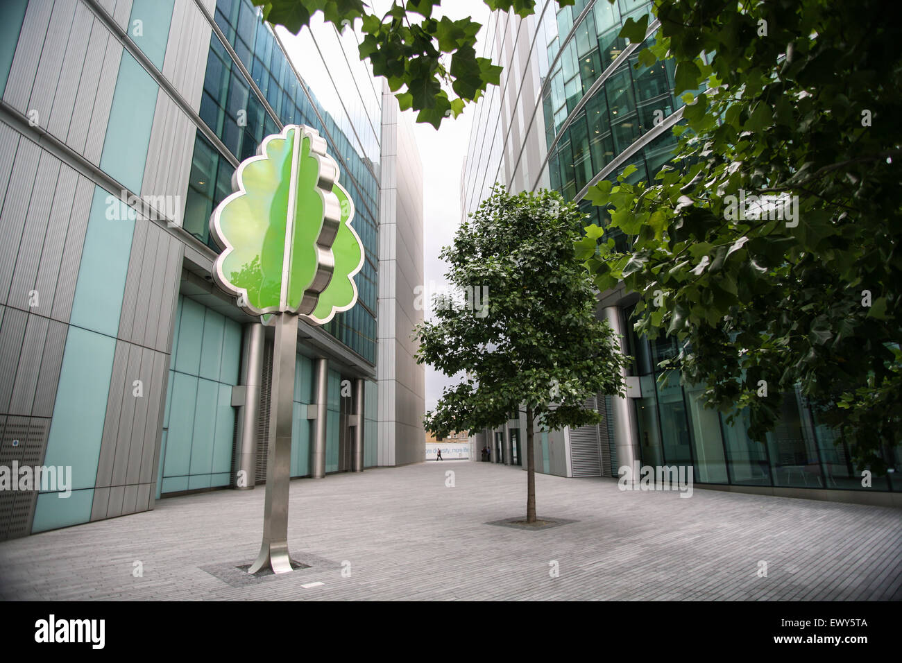 Tree sculpture set amongst the modern office buildings of MoreLondon ...