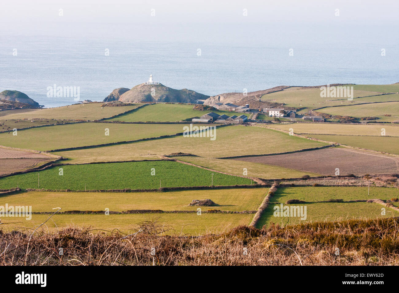 Strumble Head lighthouse on the Pembrokeshire Coast Path, South West ...