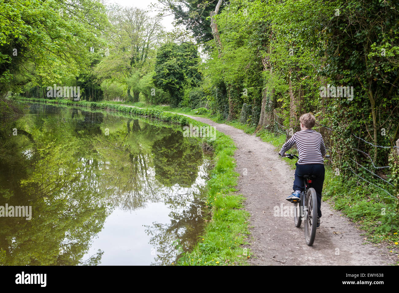 Cyclist cycling along canal side. Part of the Kennet and Avon Cycle ...