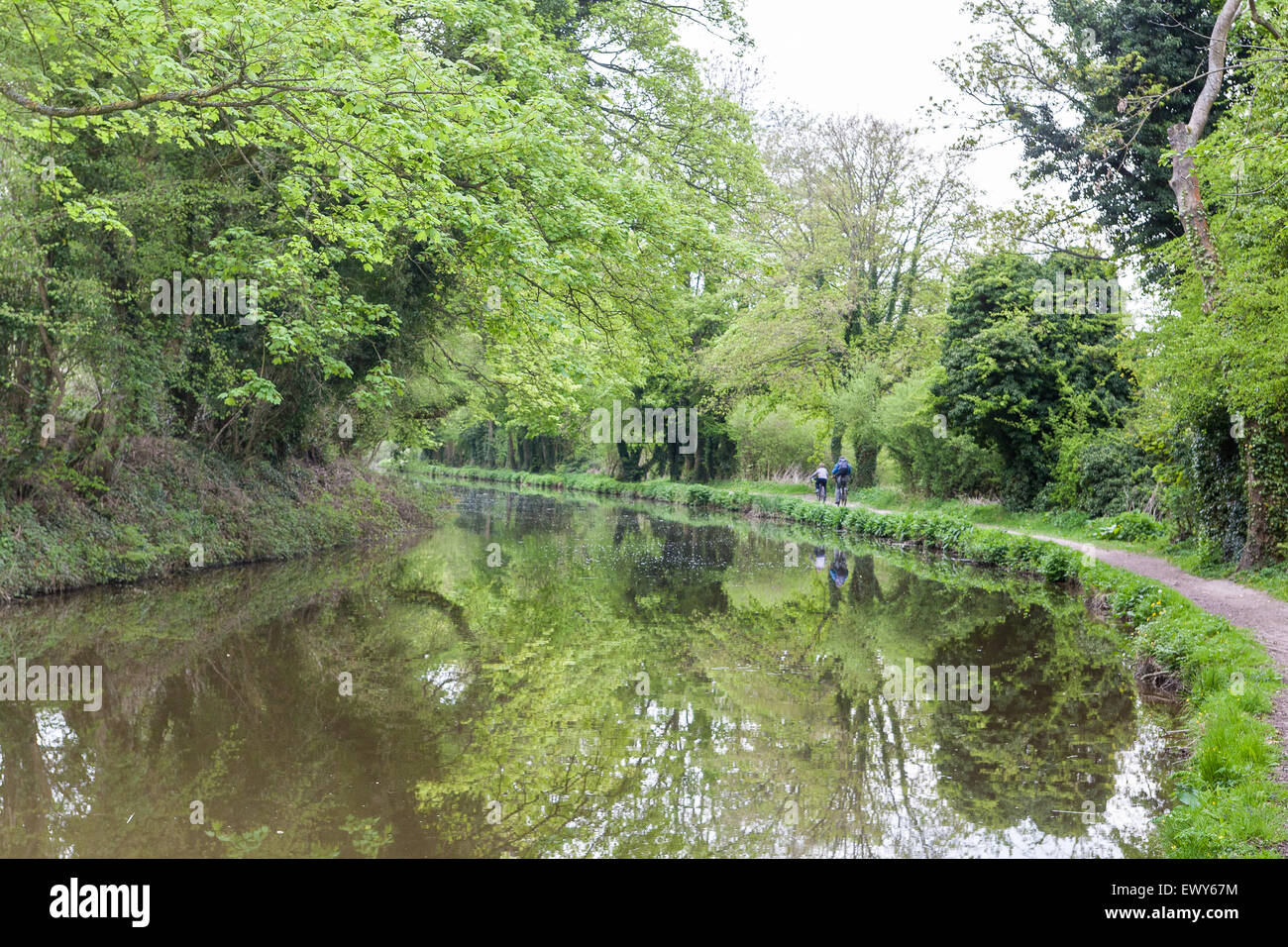 Cyclists cycling along canal side. Part of the Kennet and Avon Cycle ...