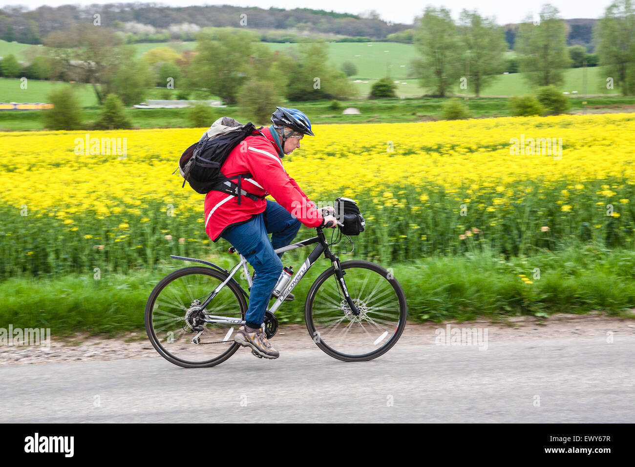 Cyclist cycling near canal side. Narrowboats in distance) Part of the ...
