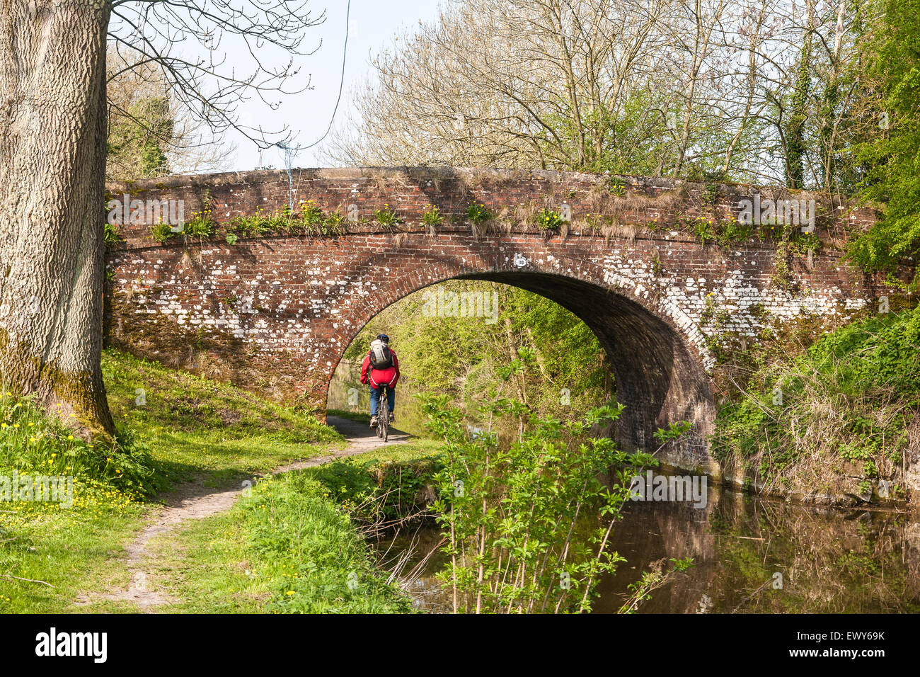 Cyclist cycling along canal side at sundown. Part of the Kennet and ...