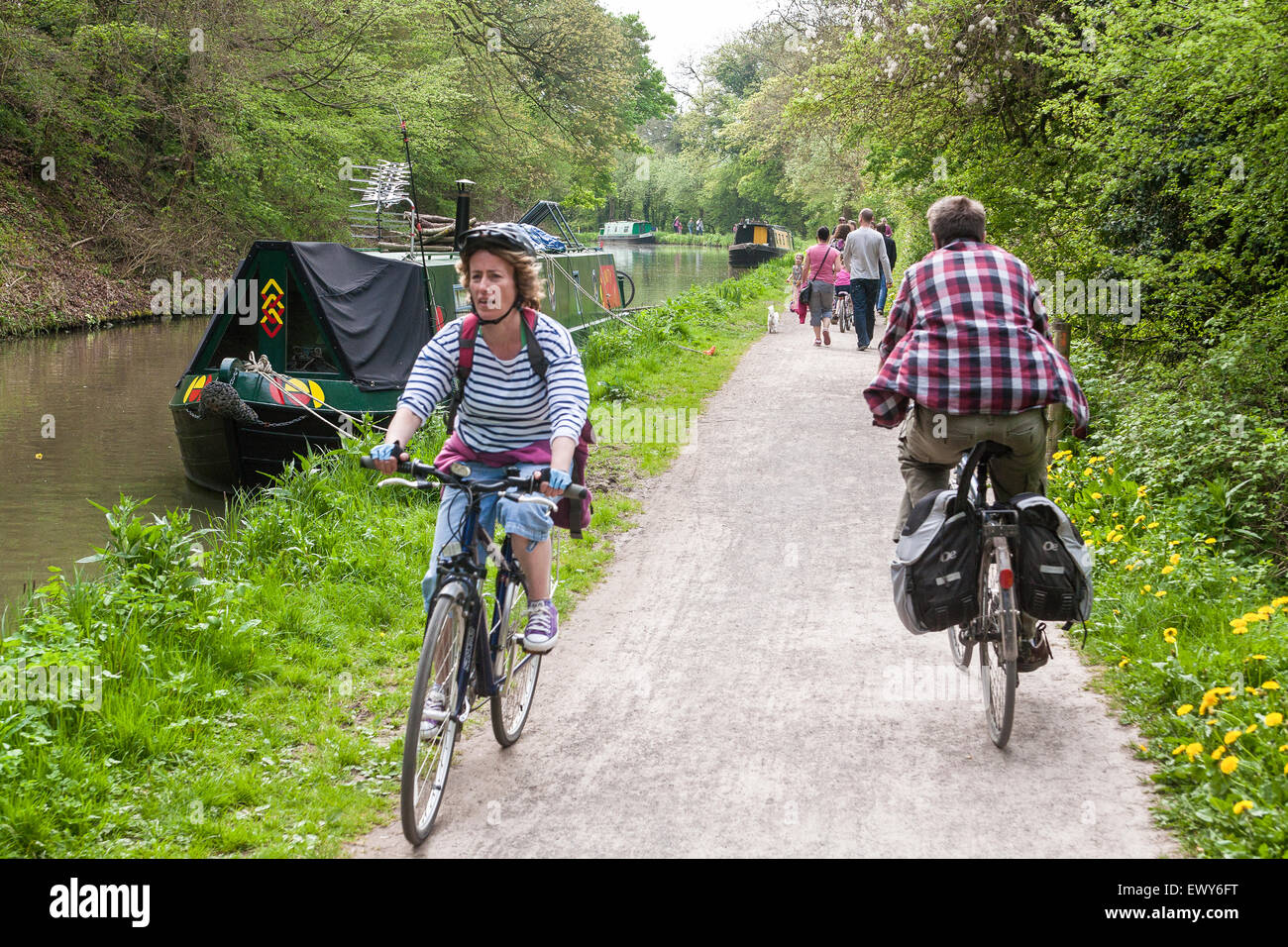 Cyclists cycling along canal side passing narrowboat. Also walkers and ...