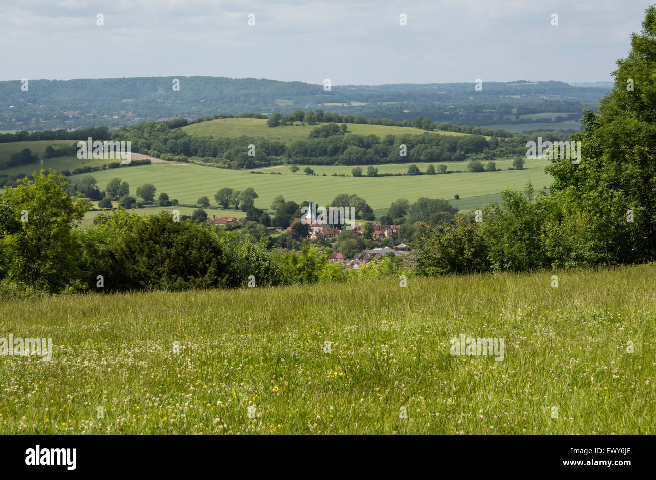 Harting Down, part of the Sussex Downs Area of Outstanding Natural ...